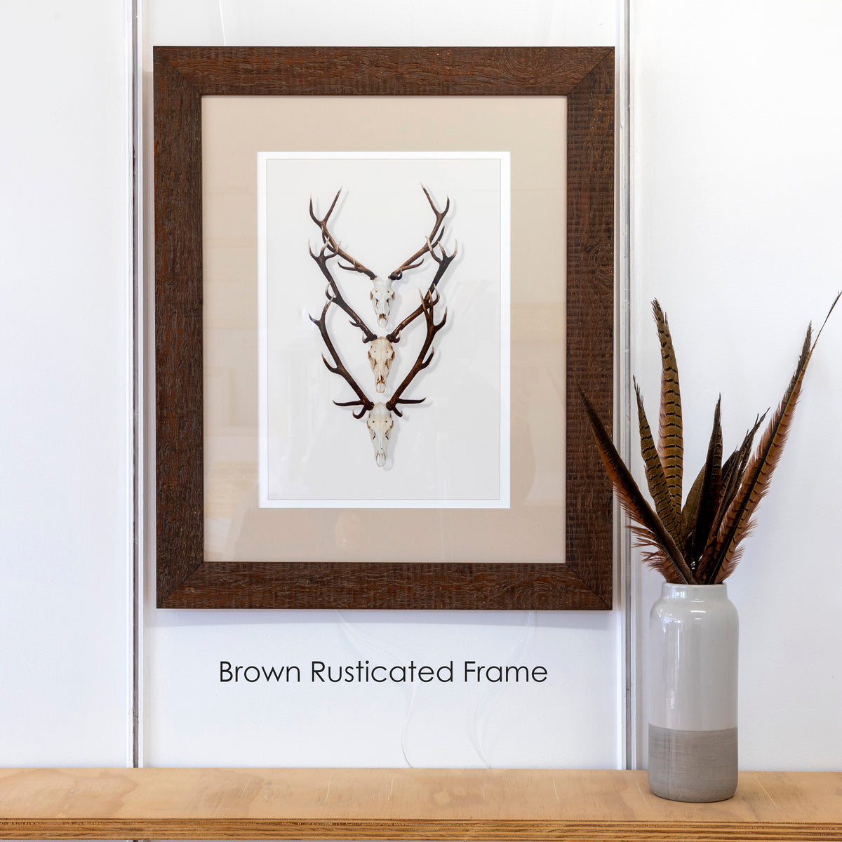 Framed Print - Antlers x 3 – Janyne Fletcher Photographer